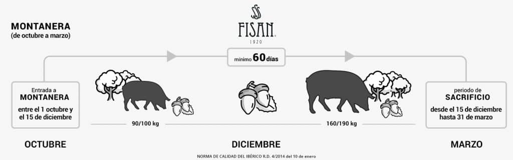 La Montanera | FISAN