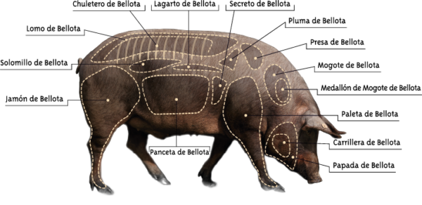 Despiece del cerdo ibérico: guía de cortes y piezas | FISAN